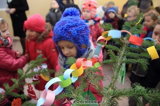 Strojenie choinki w Handlowcu [05.12.2016] - zdjęcie #105 - eOstroleka.pl